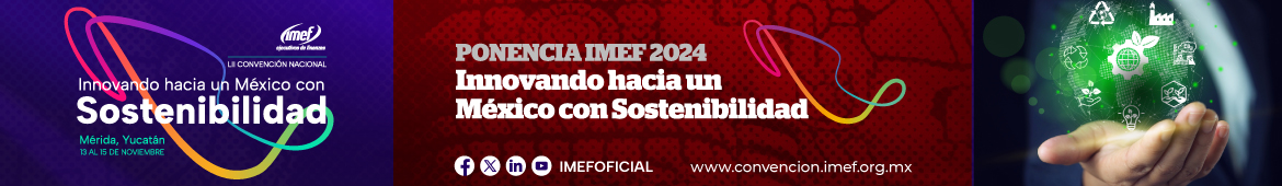Instituto Mexicano de Ejecutivos de Finanzas - IMEF