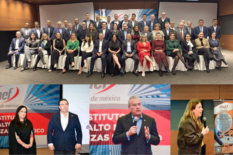 Instituto Mexicano de Ejecutivos de Finanzas - IMEF